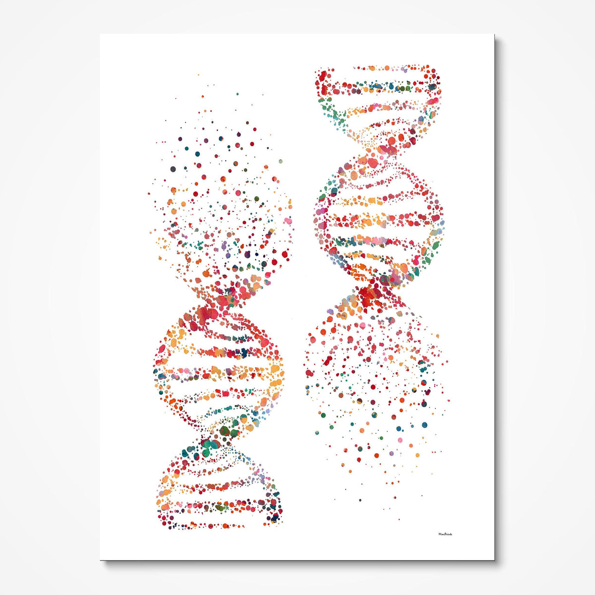 dna drawing poster