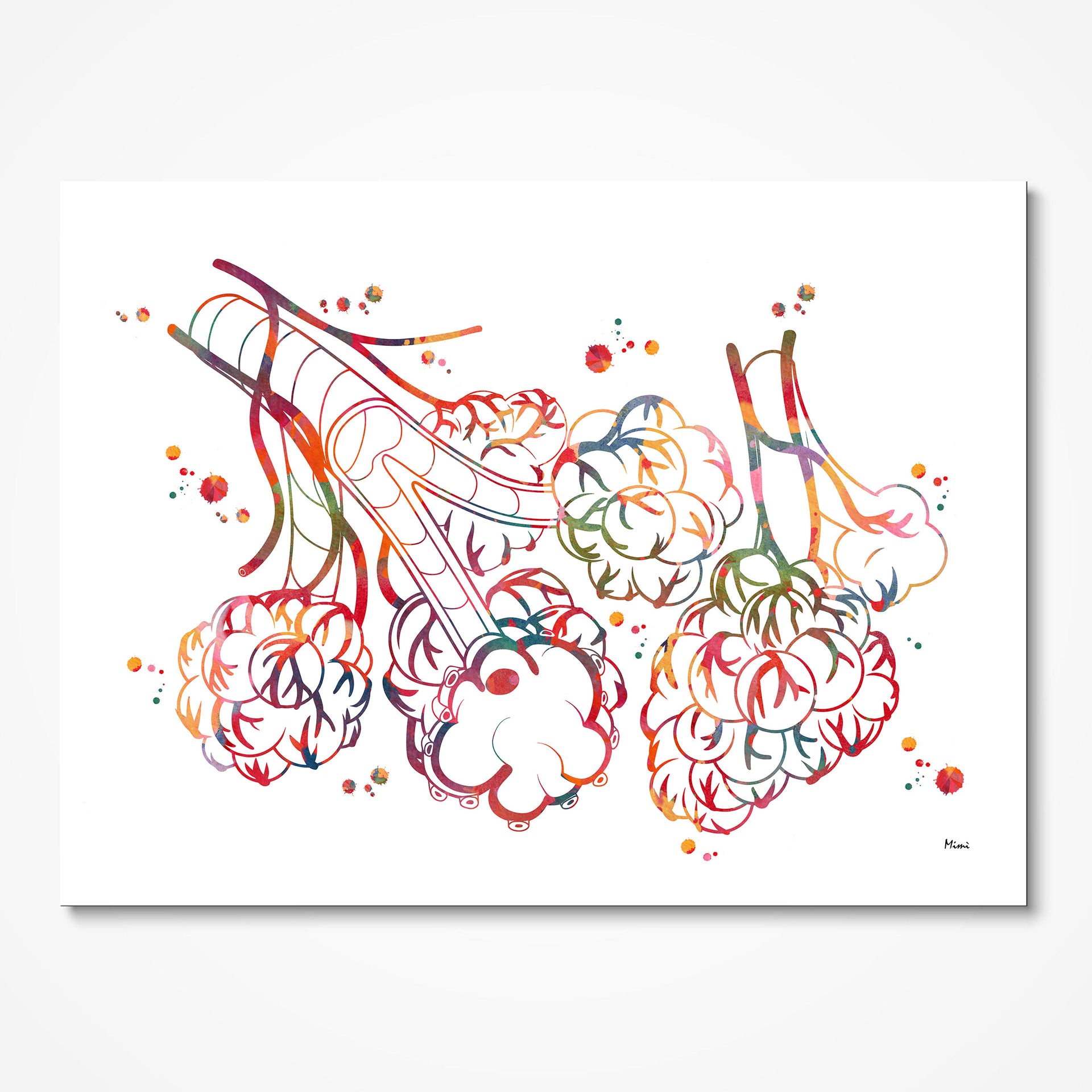 Pulmonary Alveoli Anatomy Watercolor Print – MimiPrints Anatomy Prints ...