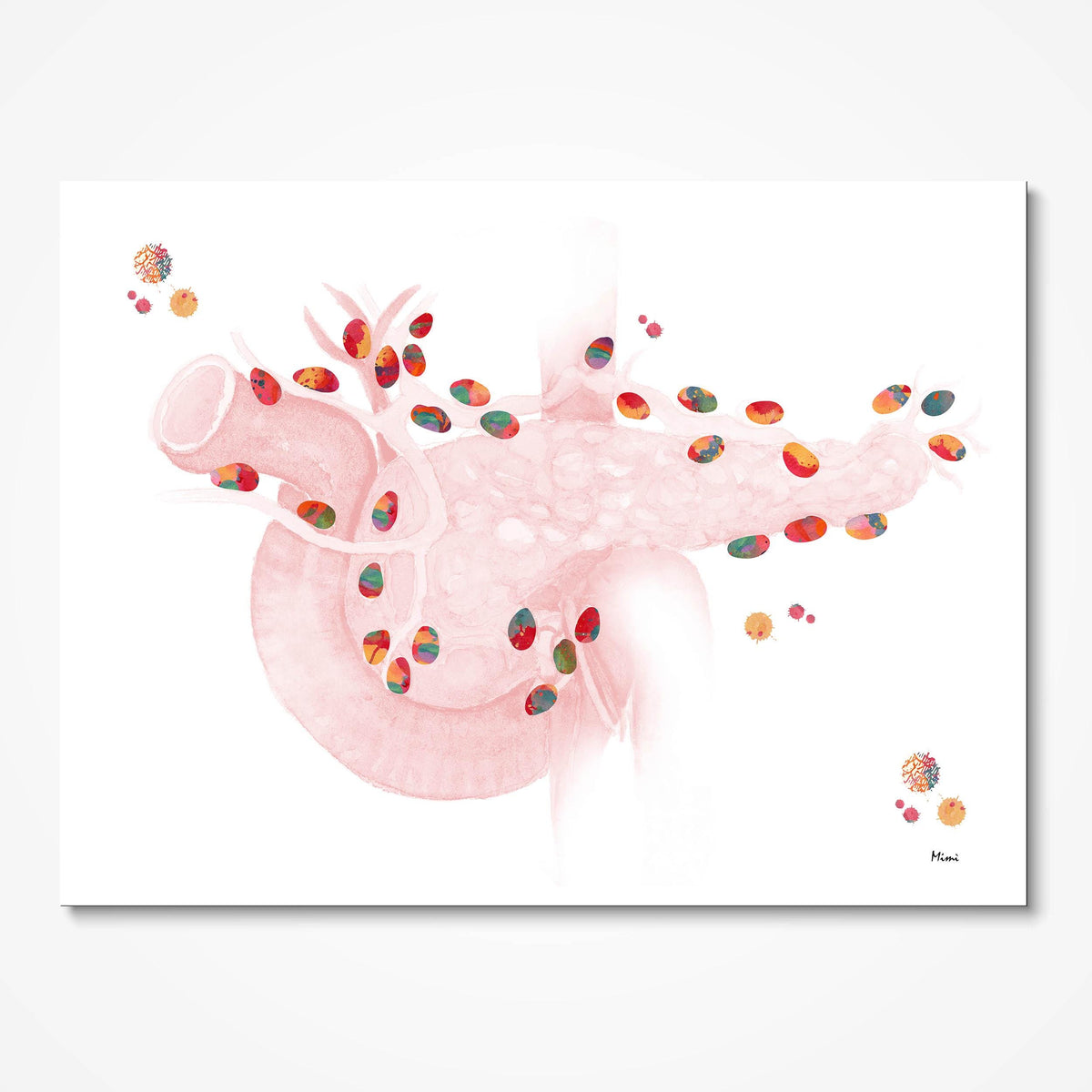 Pancreas Lymph Nodes Watercolor Print – MimiPrints Anatomy Prints And ...