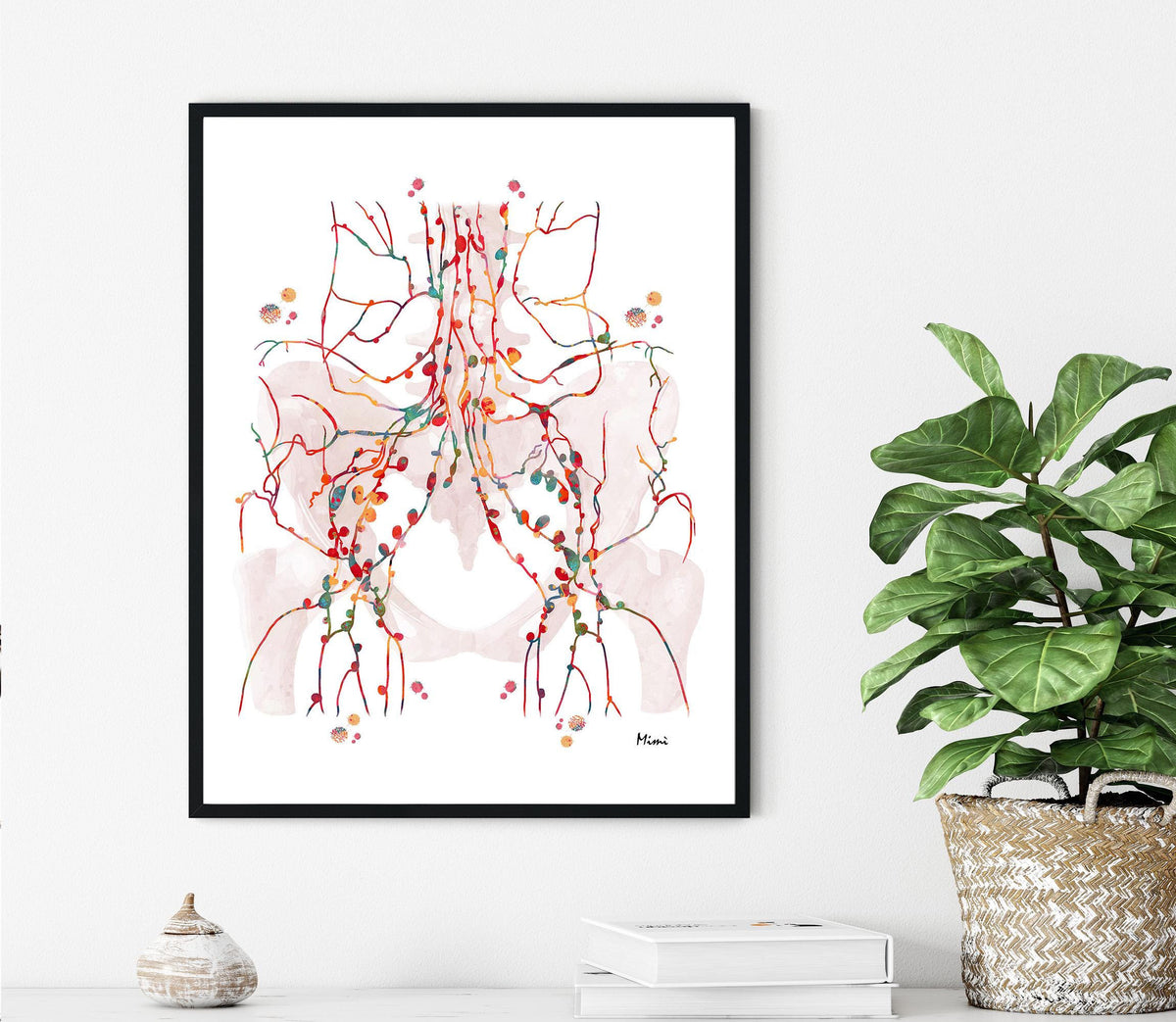 Pelvic And Inguinal Lymph Nodes Anatomy Print – MimiPrints Anatomy ...