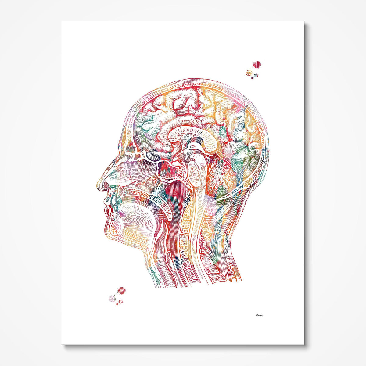 Colorful Anatomy Art And Science Prints | MimiPrints – MimiPrints ...