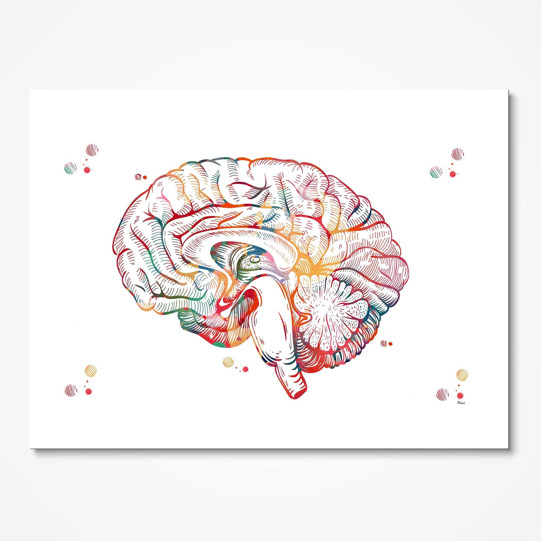 Brain Cross-Section Sagittal View Anatomy Print – MimiPrints Anatomy ...