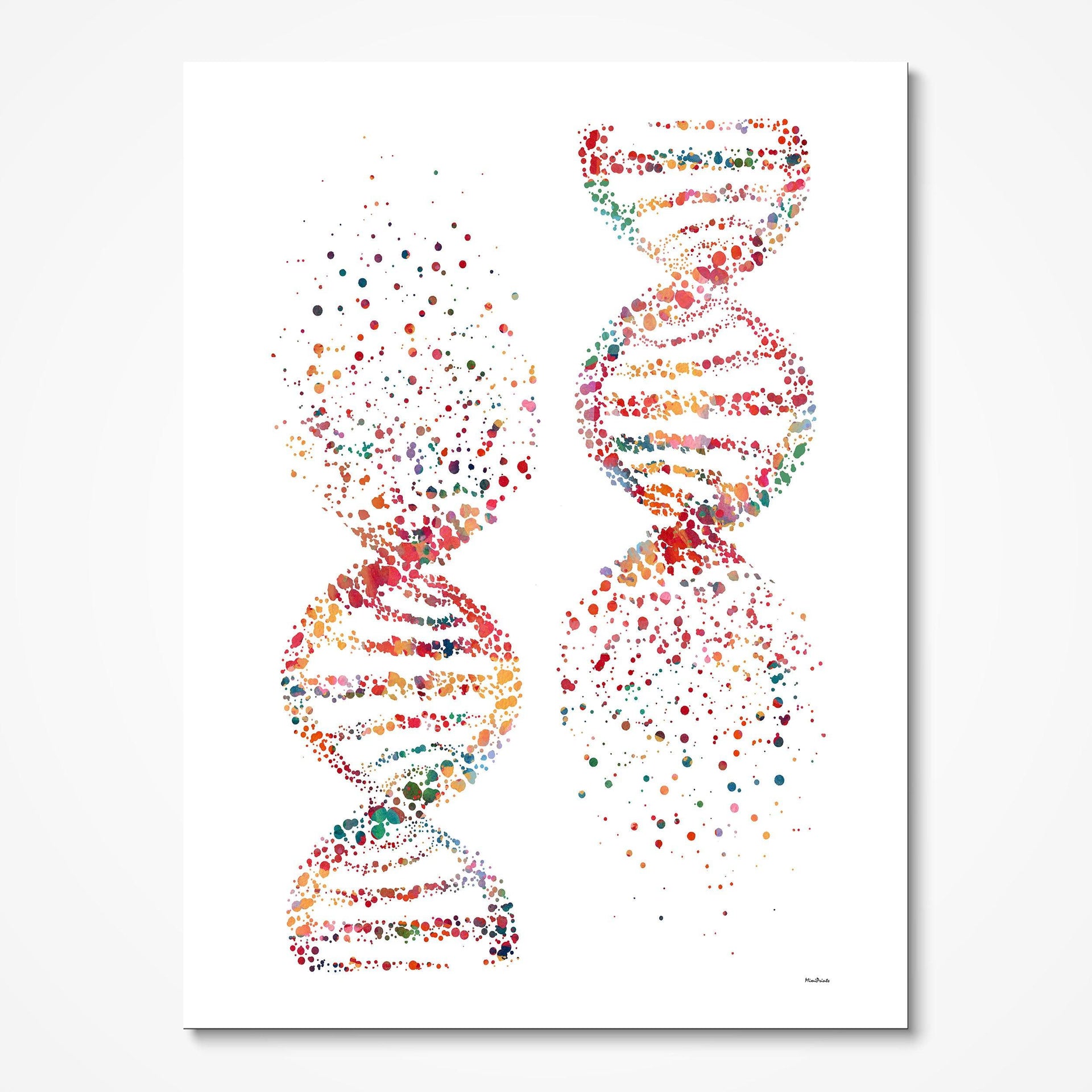Colorful Anatomy Art And Science Prints | MimiPrints – MimiPrints ...