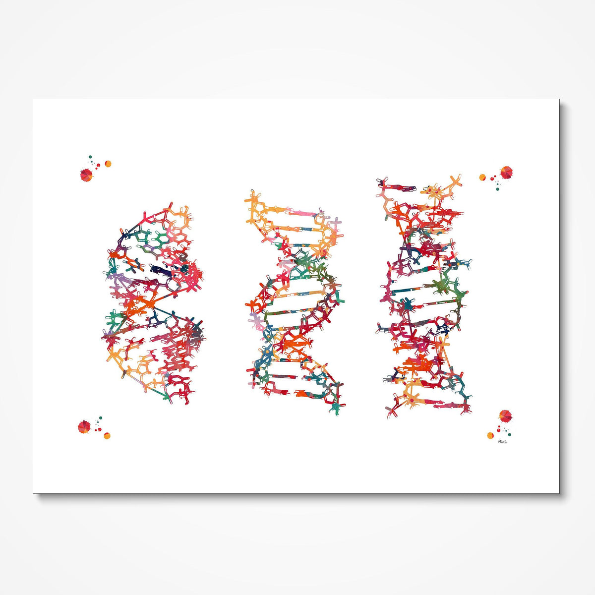 DNA Strand Structures Science Print Dna Conformation Poster ...