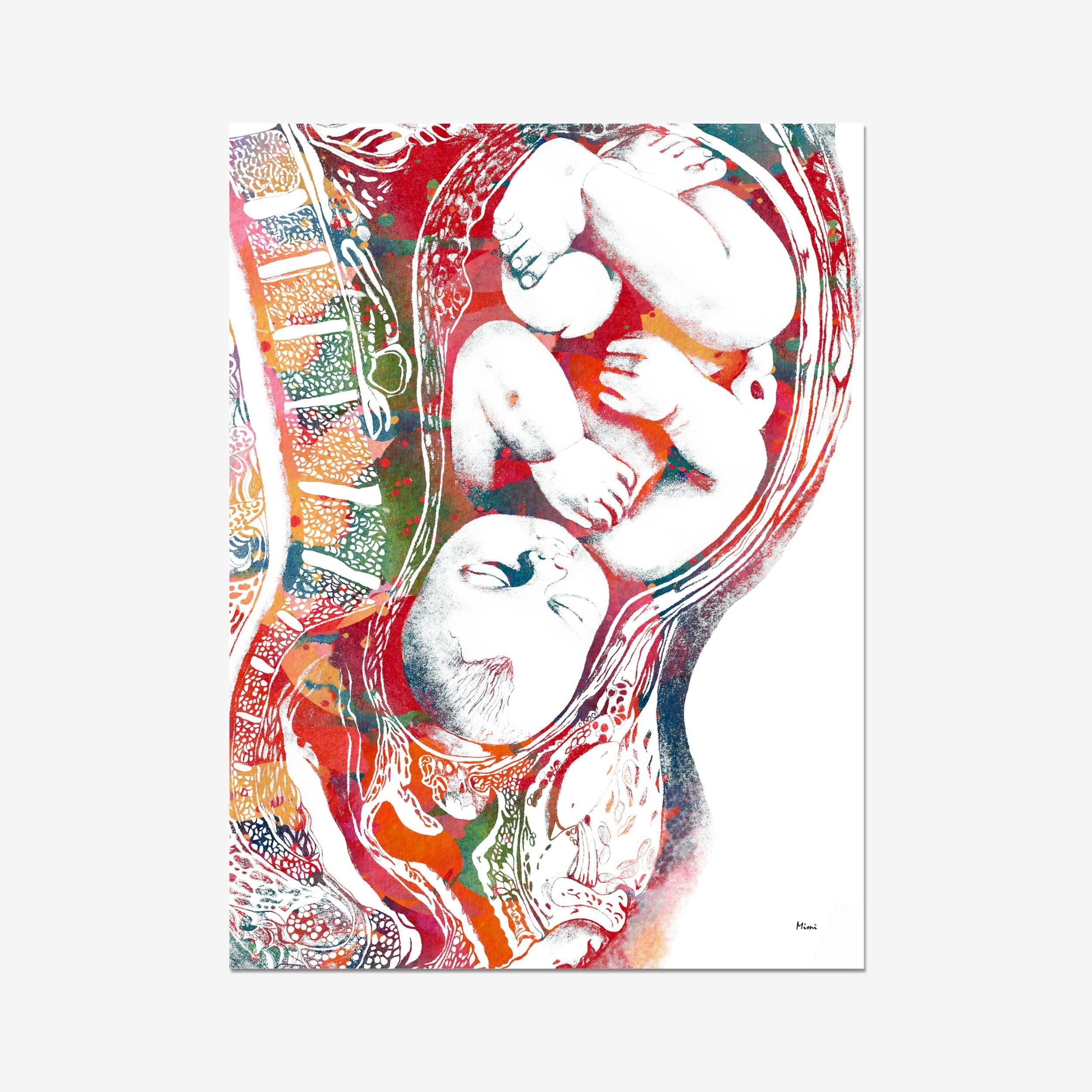 Full-term Baby In Womb Anatomy Print Birth Ob-Gyn Fertility Poster ...