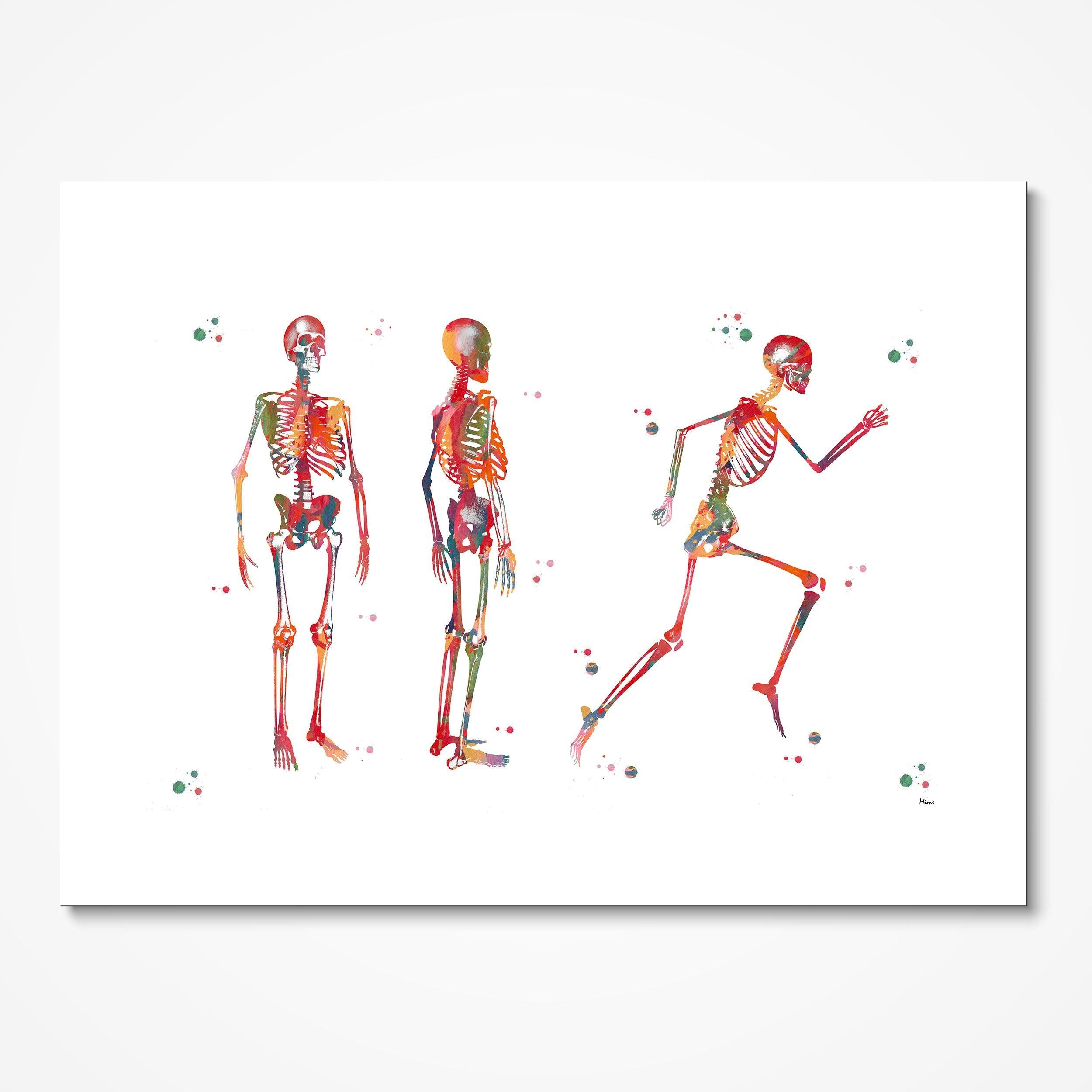 Human Body Running Skeleton Anatomy Print Skeletal System Structure Me ...