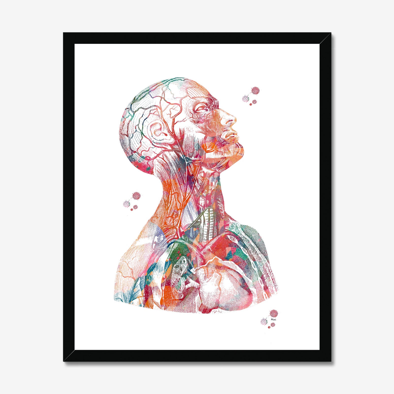 Human Head And Torso Anatomy Art Print Medical Clinic Wall Decor ...