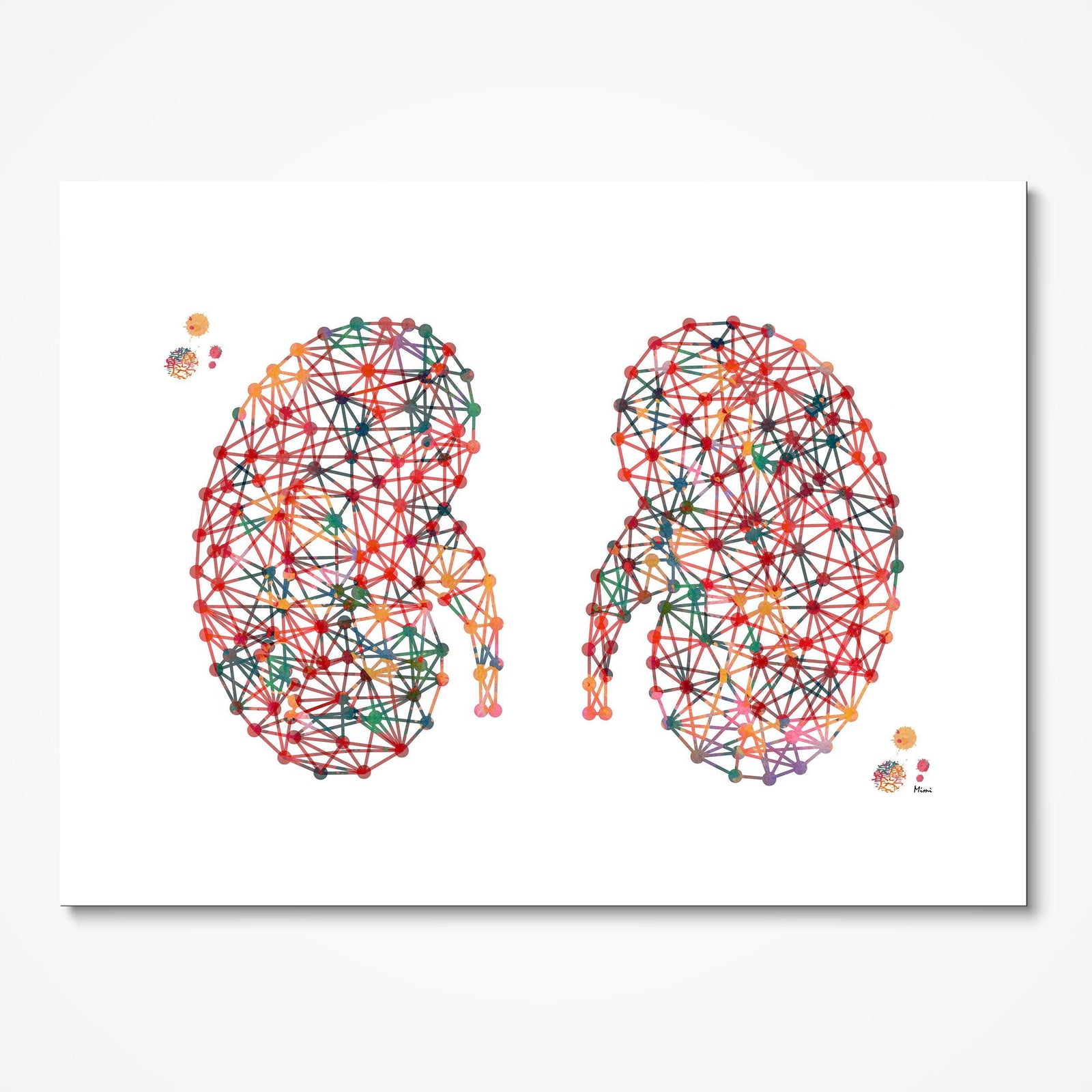 Kidneys Abstract Anatomy Print Medical Art Nephrology Poster ...