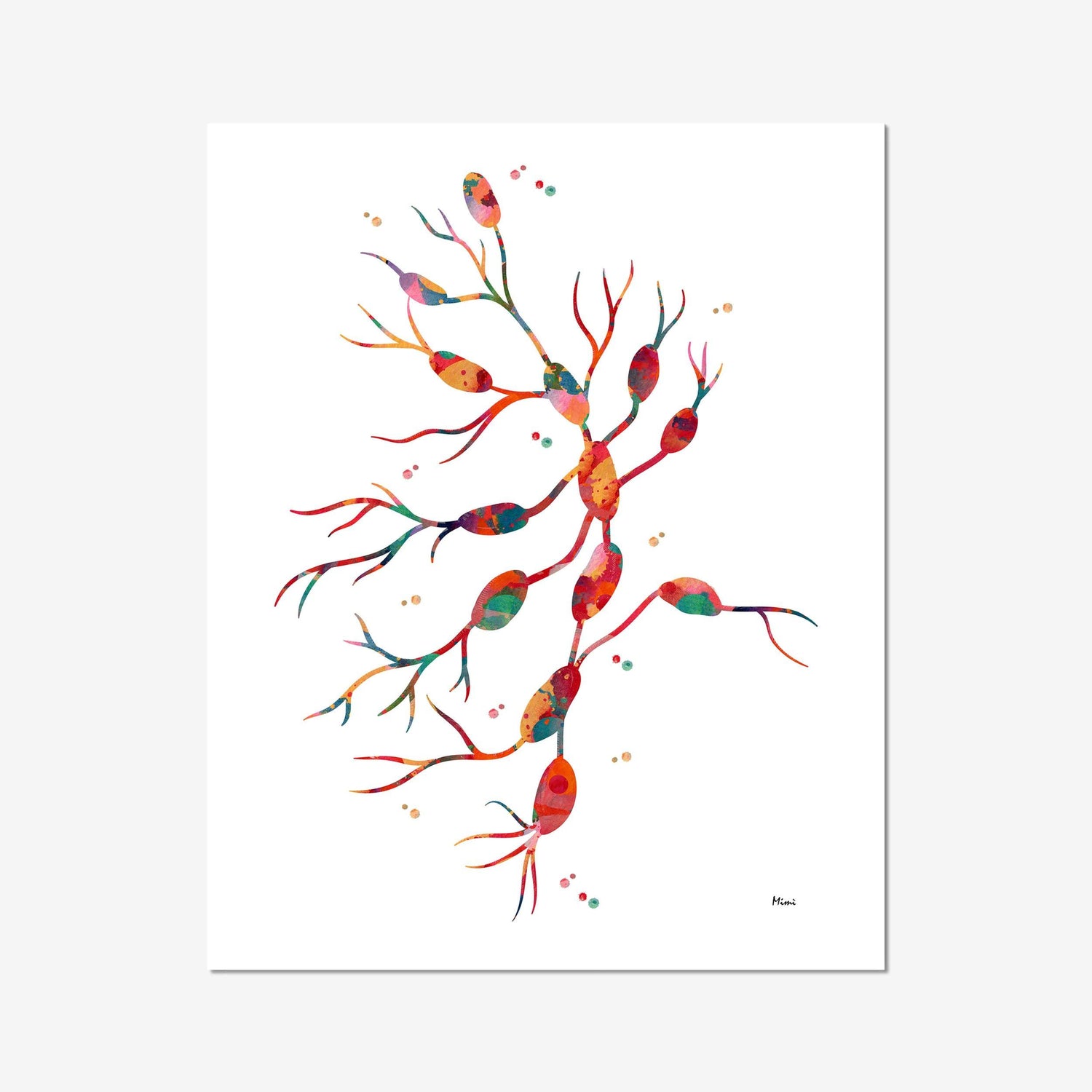 Lymphatic System Abstract Anatomy Print Lymph Nodes Poster – MimiPrints ...