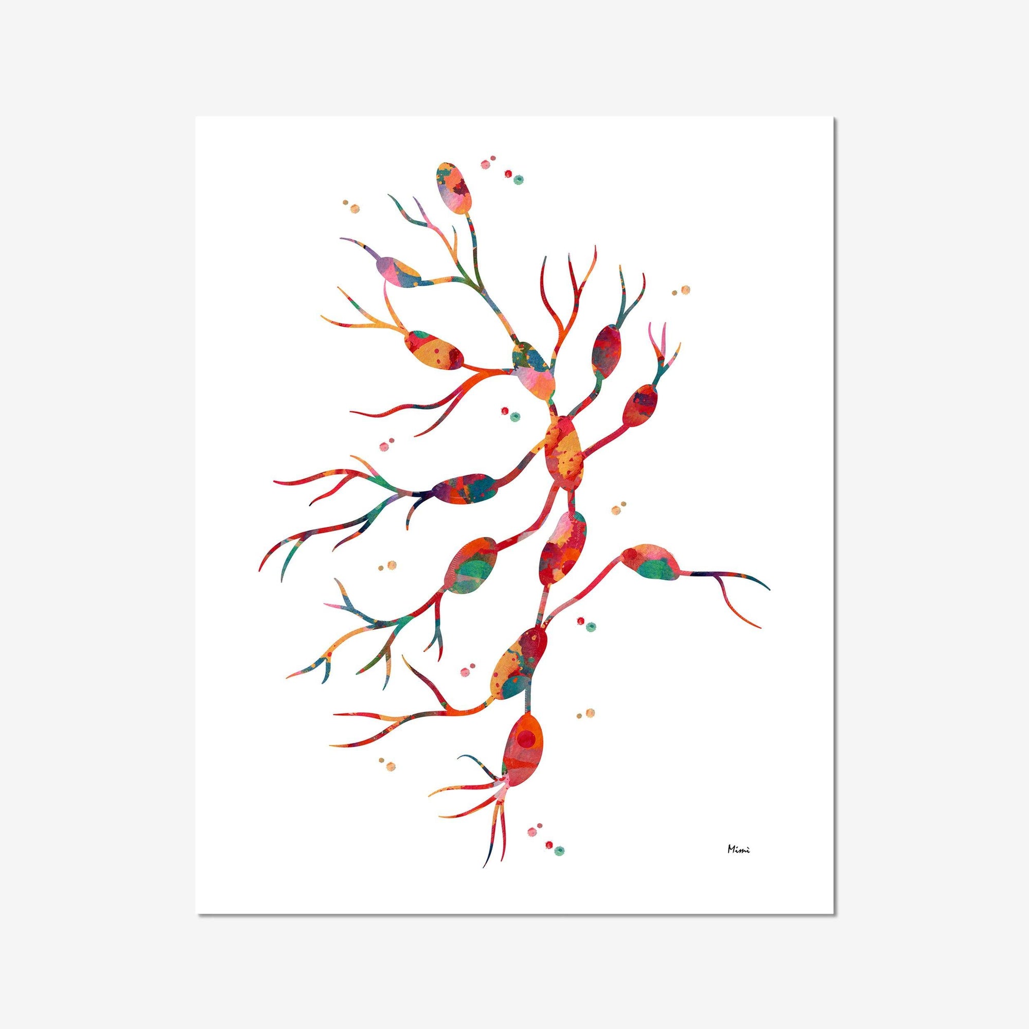 Lymphatic System Abstract Anatomy Print Lymph Nodes Poster – MimiPrints ...