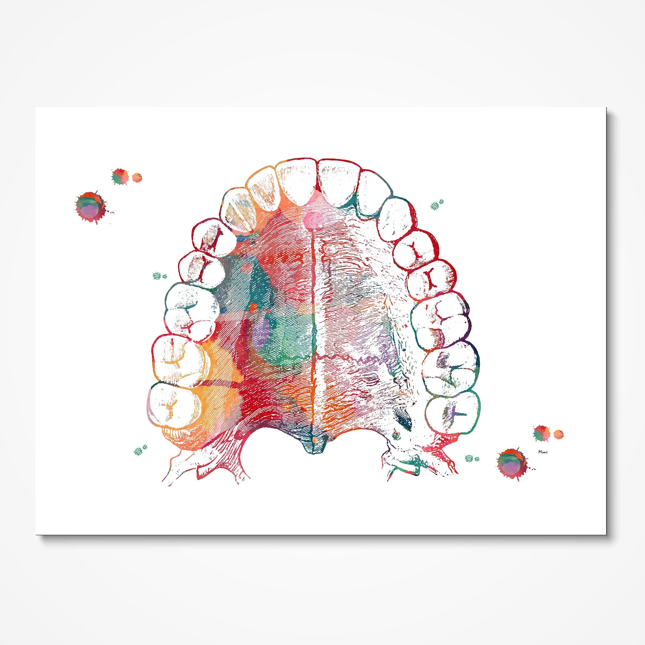 Mouth Watercolor Print Hard Palate and Teeth Dental Art Illustration ...