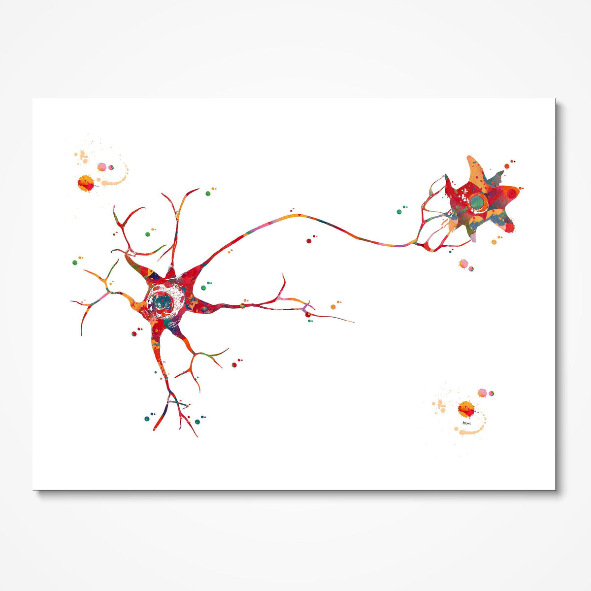 Multipolar Neuron Science Print Neuron With Axon and Dendrites Poster ...