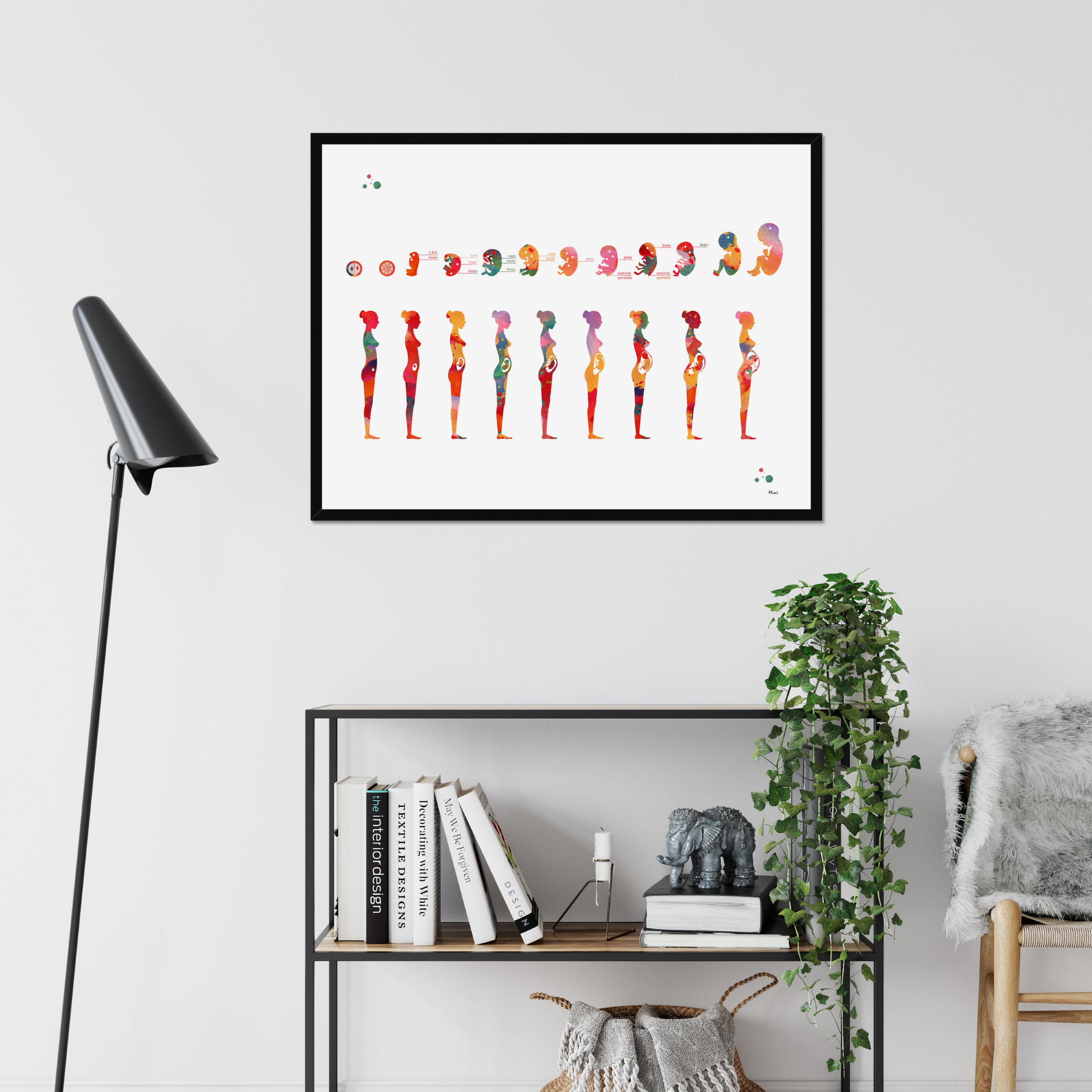 Pregnancy Anatomy Print Phases Of Fetal Development Ob-Gyn Poster ...