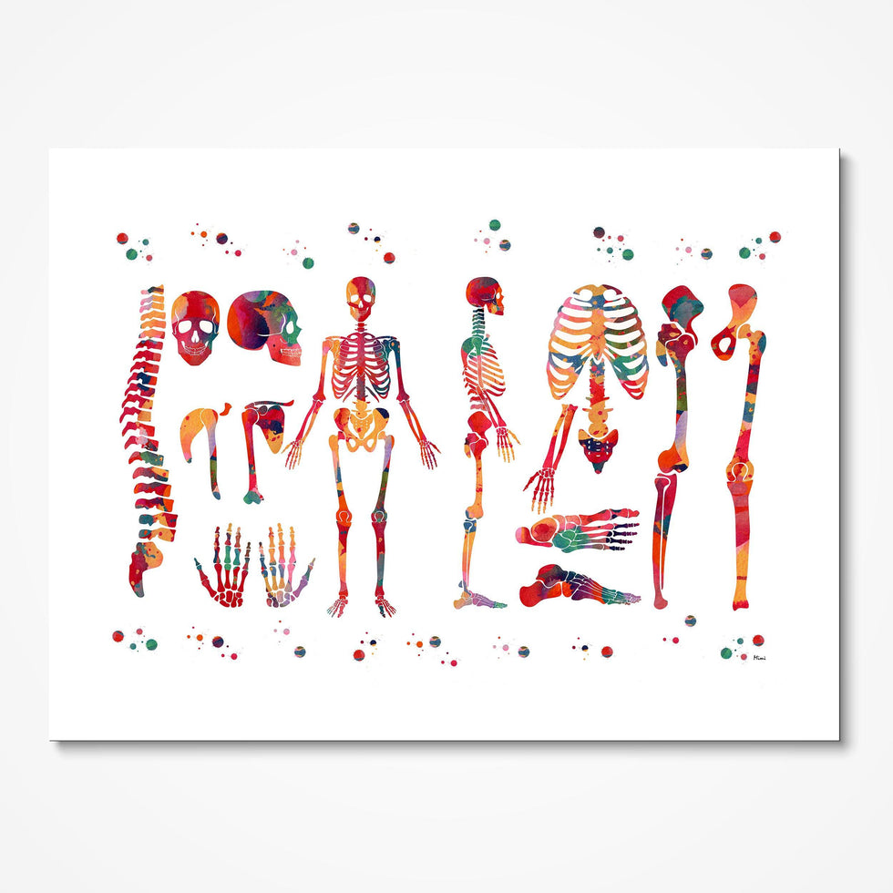 Colorful Anatomy Art And Science Prints | MimiPrints – MimiPrints ...